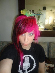 42 Scene Hairstyles Ideas For Girls – InspirationSeek.com