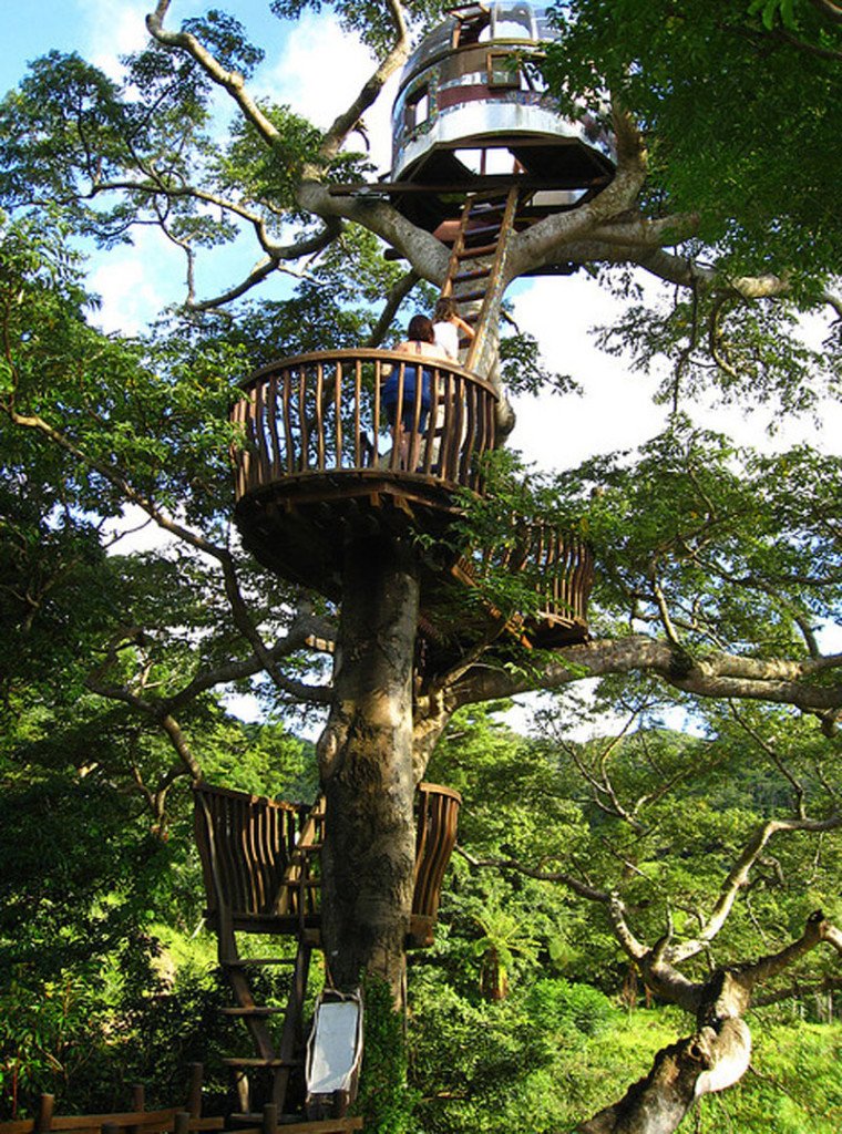 Tree House Design Ideas For Modern Family – InspirationSeek.com